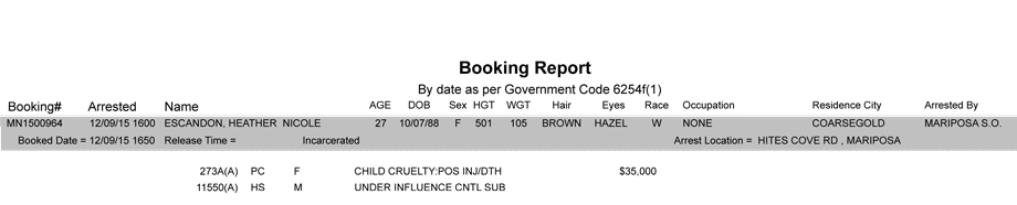 Mariposa County Daily Sheriff and Booking Report for Wednesday ...