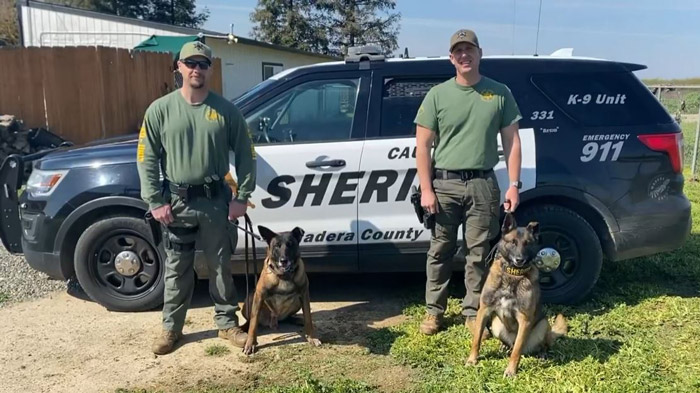 Madera County Sheriff’s Office Announces Retirement of K-9 Partners ...