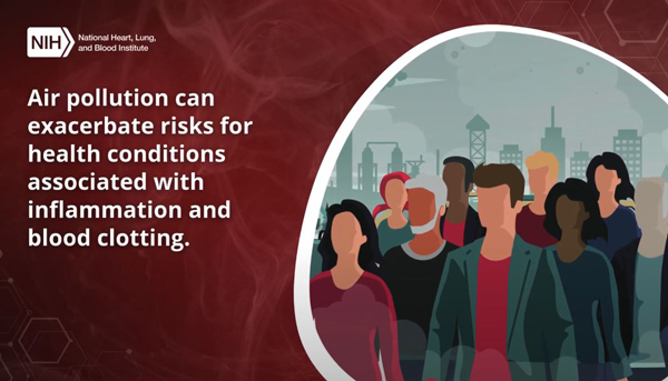 NIH Reports Long-Term Exposure to Air Pollution Linked to Blood Clots ...