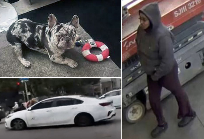 Police Seek Public’s Help Identifying Suspects in Brazen Robbery of ...
