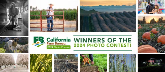 California Farm Bureau Announces 2024 Photo Contest Winners